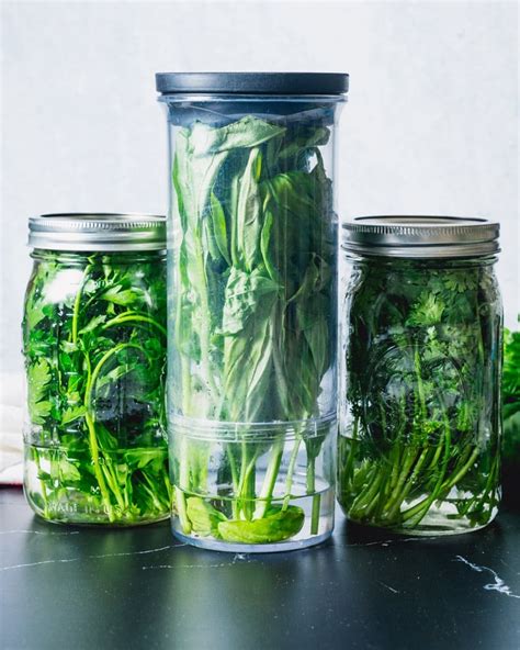 How To Store Fresh Herbs In Water At Danelle Perez Blog
