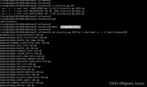 Rds Mysql和mongodb 物理备份文件xb恢复到自建数据库rds Mysql物理备份文件恢复到自建数据库 Csdn博客
