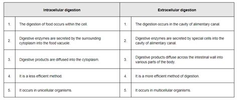 Extracellular Digestion