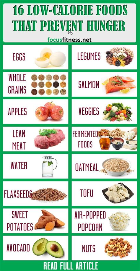 What Are The Best Low Calorie Meals Niche Recipes