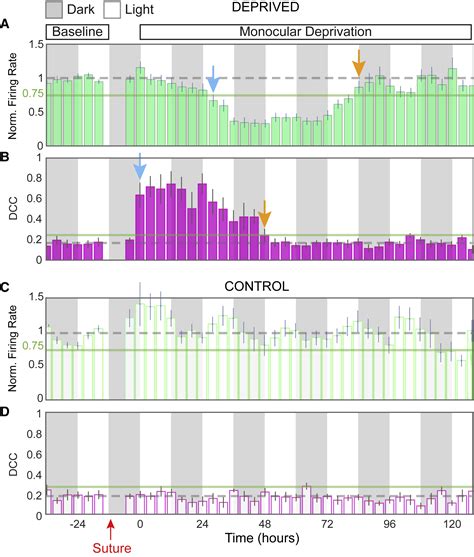 Cortical Circuit Dynamics Are Homeostatically Tuned To Criticality In Vivo Neuron