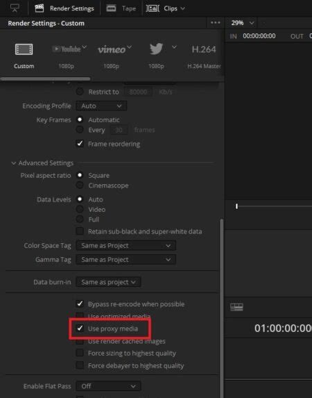 How To Use Blackmagic Proxy Generator Explained