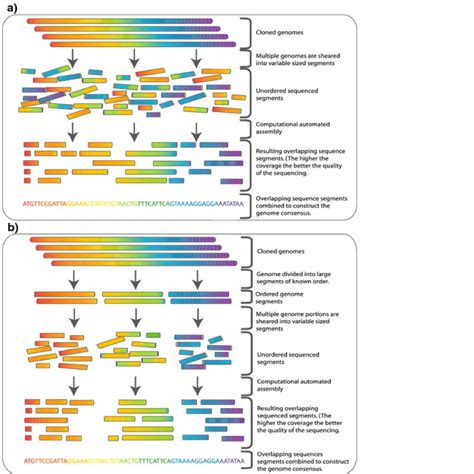 Difference Between Whole Genome Sequencing And Microarray Difference