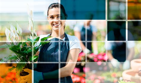 ¿qué Son Y Cómo Funcionan Las Sofoles