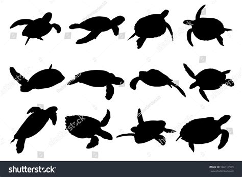 Turtle Vector Silhouettes Collection Turtle Vector Stock Vector