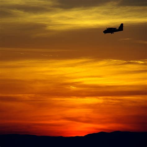 Life Is A Trip Its Not On Fire Its Just The Sky