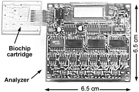 Biochip Cartridge Inserted Into Analyzer Module For Multiparameter Download Scientific Diagram