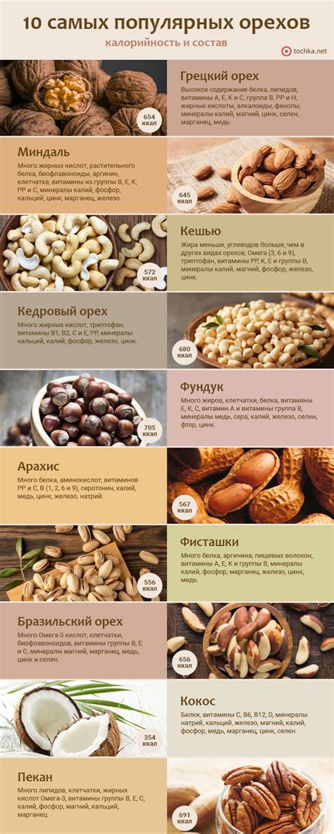 Полезные орехи для женщин полный список