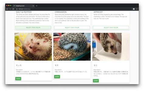 vue js vuex vuetifyとfirebaseでspaを作る その3 nmomo s