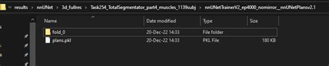 Error During The Anatomical Segmentation Using D Slicer And TotalSegmentor Issue
