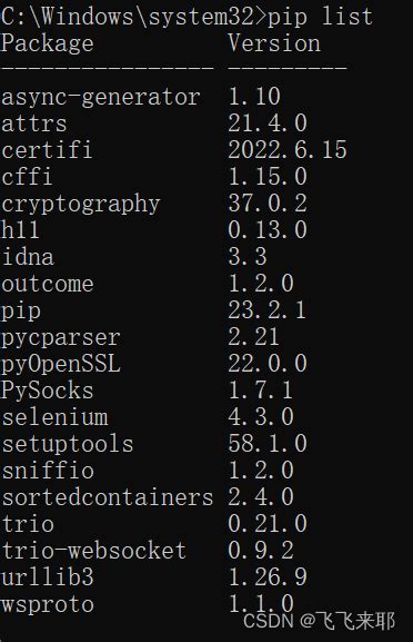 Pip的更新，以及常见错误pip更新错误 Csdn博客