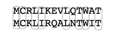 Bio Informatics Flashcards Quizlet