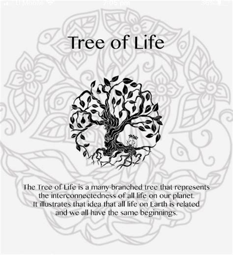 Tree Of Life Symbol What It Really Means Artofit