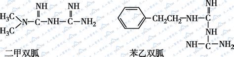 糖尿病的双胍类降糖药治疗 内分泌学 天山医学院
