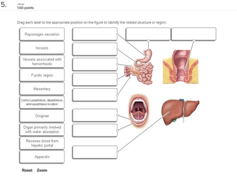 Solved Drag Each Label To The Appropriate Position On The Chegg Com