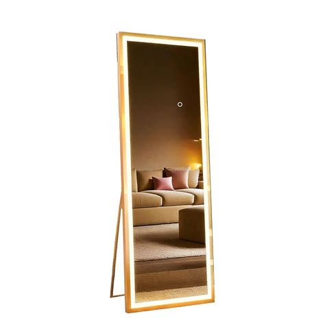 Timussi 28 In W X 71 In H Rectangle Framed Led Full Length