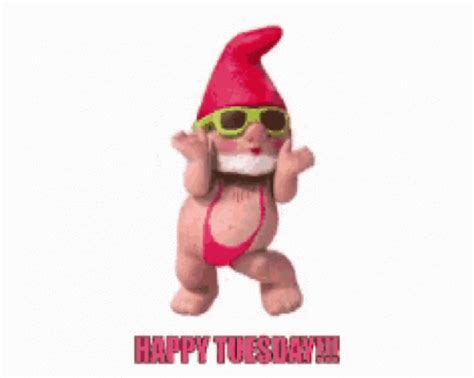 Happy Tuesday Gnome  Happy Tuesday Gnome Dance Discover And Share S