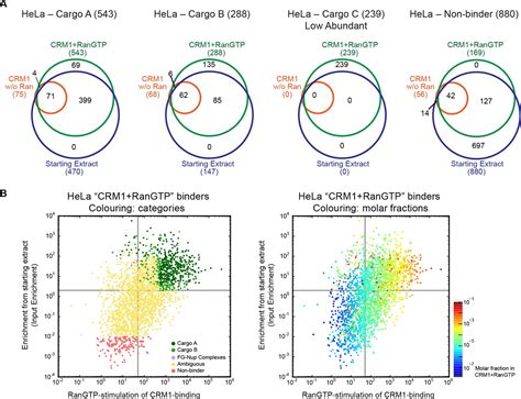 Figures And Data In A Deep Proteomics Perspective On Crm1 Mediated Nuclear Export And