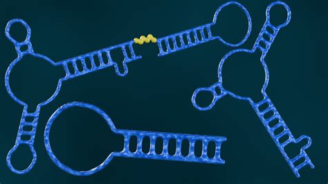 Clinical Assay Development Luminodx Inc Clinical Assay Development Luminodx Inc