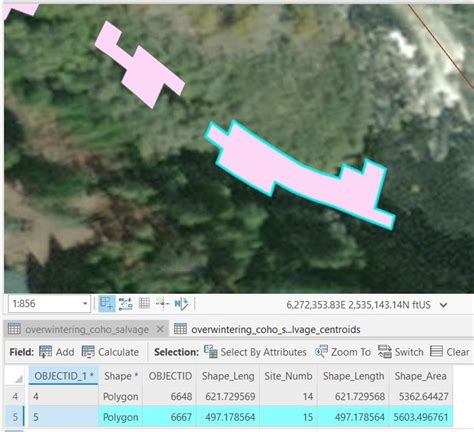 Solved Features Effectively Disappear From Map Esri Community