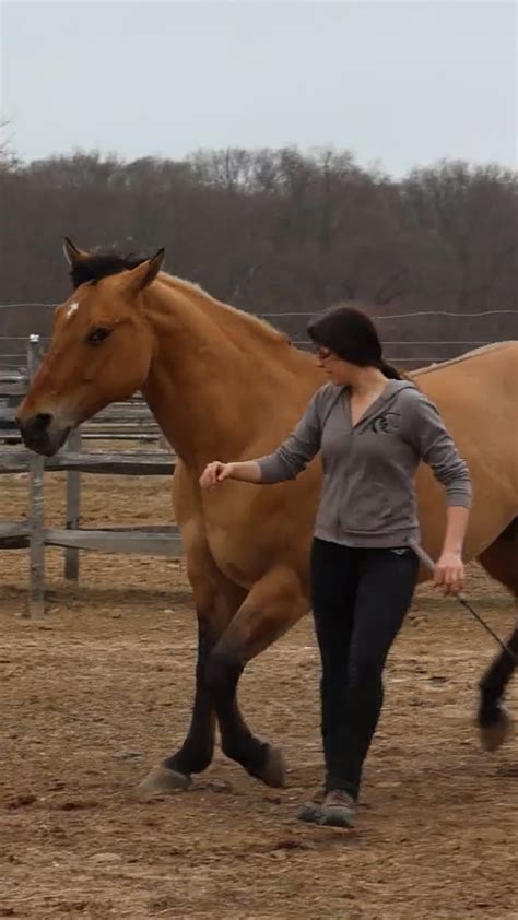 Danielle Simonetti Daniellesimonetti331 • Instagram Photos And Videos