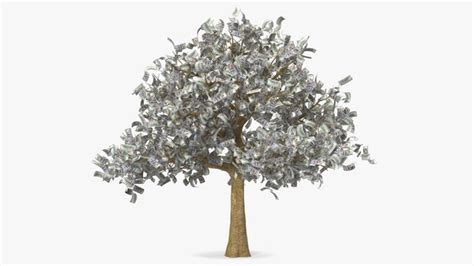 Eureka A Magic Money Tree Tyndall