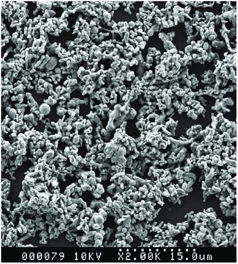 Sem Micrograph Of Quasi Spherical Cobalt Particles With Nominal 16 μm