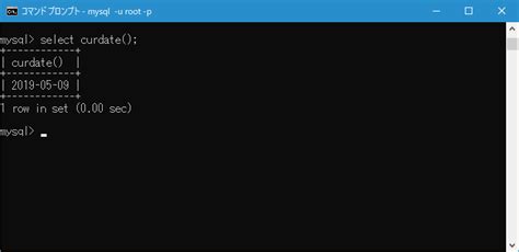 Mysql Curdate関数 現在の日付を文字列または数値で取得する