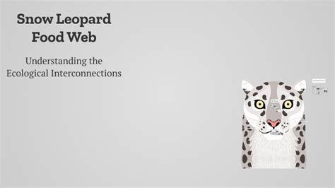 Snow Leopard Food Web By Nathaniel Neto On Prezi