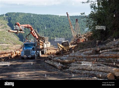 Yarder Logging