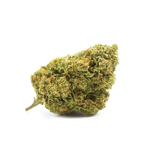 Marigold Gelato 41 Eighth Marigold