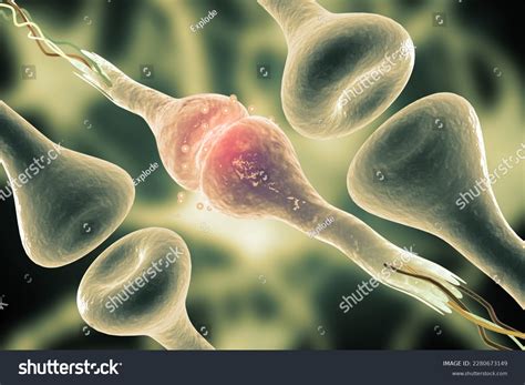 Neuron Cell Anatomy Scientific Background 3d Stock Illustration 2280673149 Shutterstock