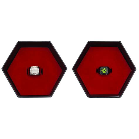 Adrien Is Cat Noir Miraculous Ring Bundle Miraculous Miraculous