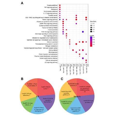 Principal Component Analysis Pca And Volcano Plots Of Differentially