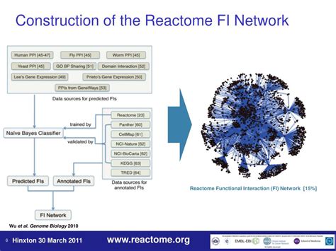 Ppt Reactome Functional Interaction Fi Network Powerpoint