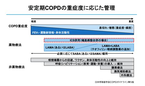 安定期copdの管理目標と計画｜医療法人啓生会 やすだ医院は、京都市南区にある呼吸器疾患を専門とする医療機関です。