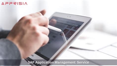 Apprisia Consulting Llp On Linkedin Sap Ams Support