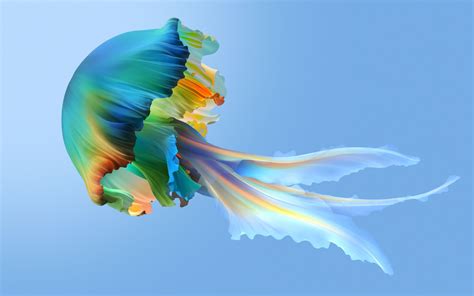 Jellyfish Aesthetic Wallpapers · 220 Backgrounds 🐙🌊