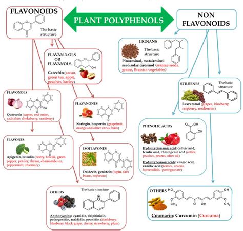 Figure 1 From Chitosan Polyphenol Conjugates For Human Health Semantic Scholar