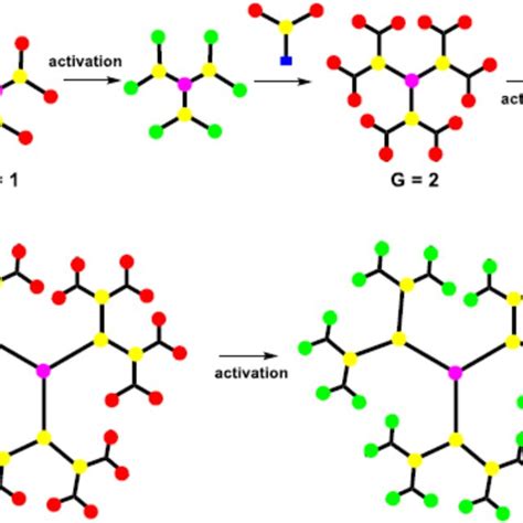 Structure Of Dendrimers In Divergent Approach Method Download