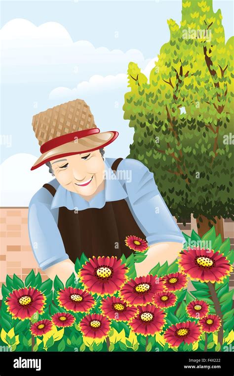 Older Woman Gardening Stock Vector Images Alamy