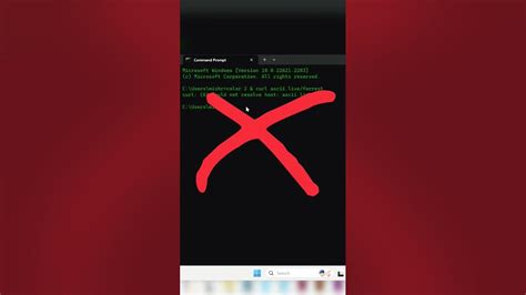 Curl 6 Could Not Resolve Host Youtube