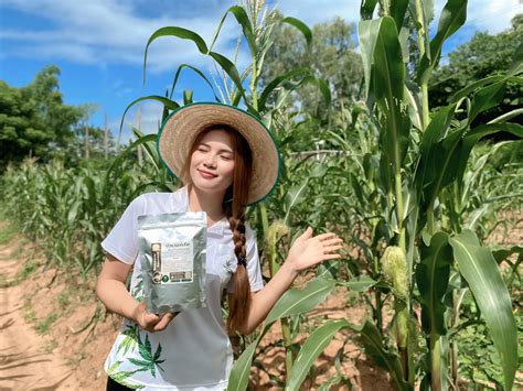 โรงเรียนนวลนรดิศวิ โรงเรียนนวลนรดิศวิทยาคม รัชมังคลาภิเษก