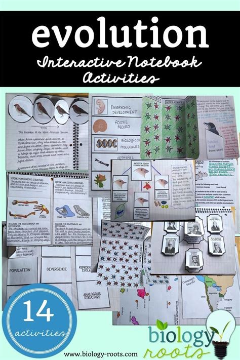 Evolution Interactive Notebook Interactive Notebooks Biology Activity Life Science Lessons