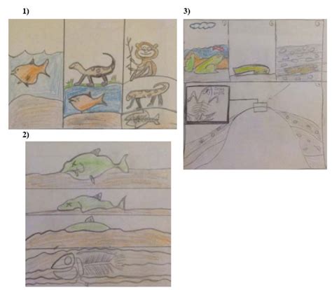 Diagrams Of Fossils Diagrams 1 2 And 3 Download Scientific Diagram