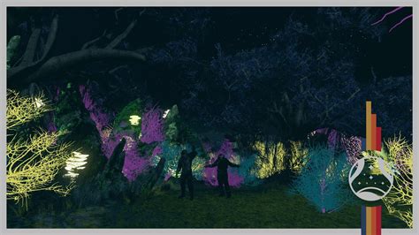 Starfieldphotography