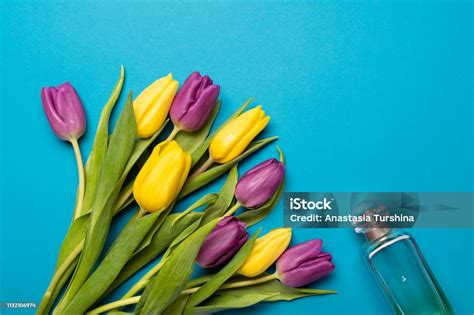 파란 배경에 향수 병 꽃 편평한 누워 노란색과 보라색 튤립 0명에 대한 스톡 사진 및 기타 이미지 0명 3월 개념