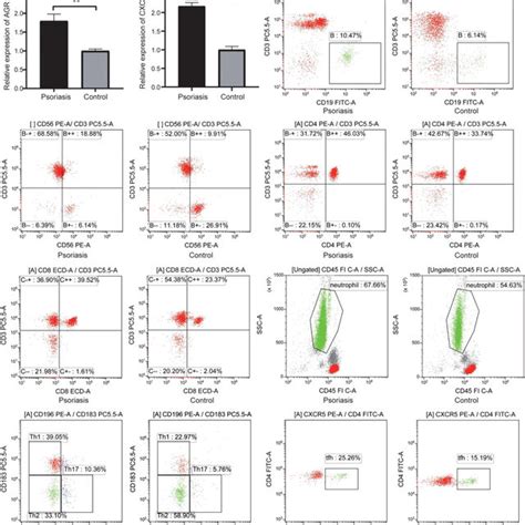 Key Results Were Verified By Molecular Experiments A The Expression Download Scientific