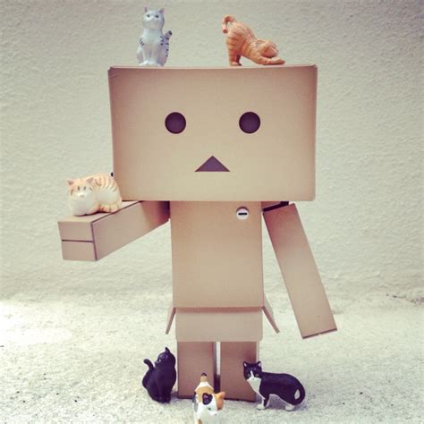 Danbo Loves Kitty Meow Danbo Loveable Kitty