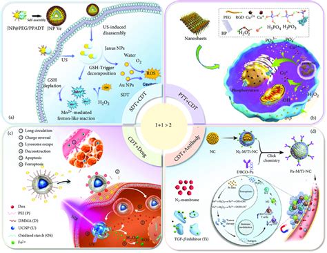 Schematic Illustration Of Combined Treatment Strategy For Delivering